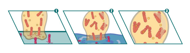 Legionnaires' Disease Prevention - Delta Products Group